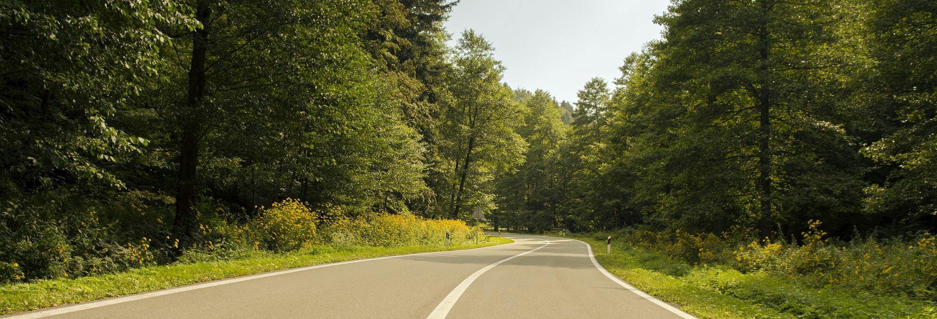 Bgnd | Lance Maxwell Plumbing